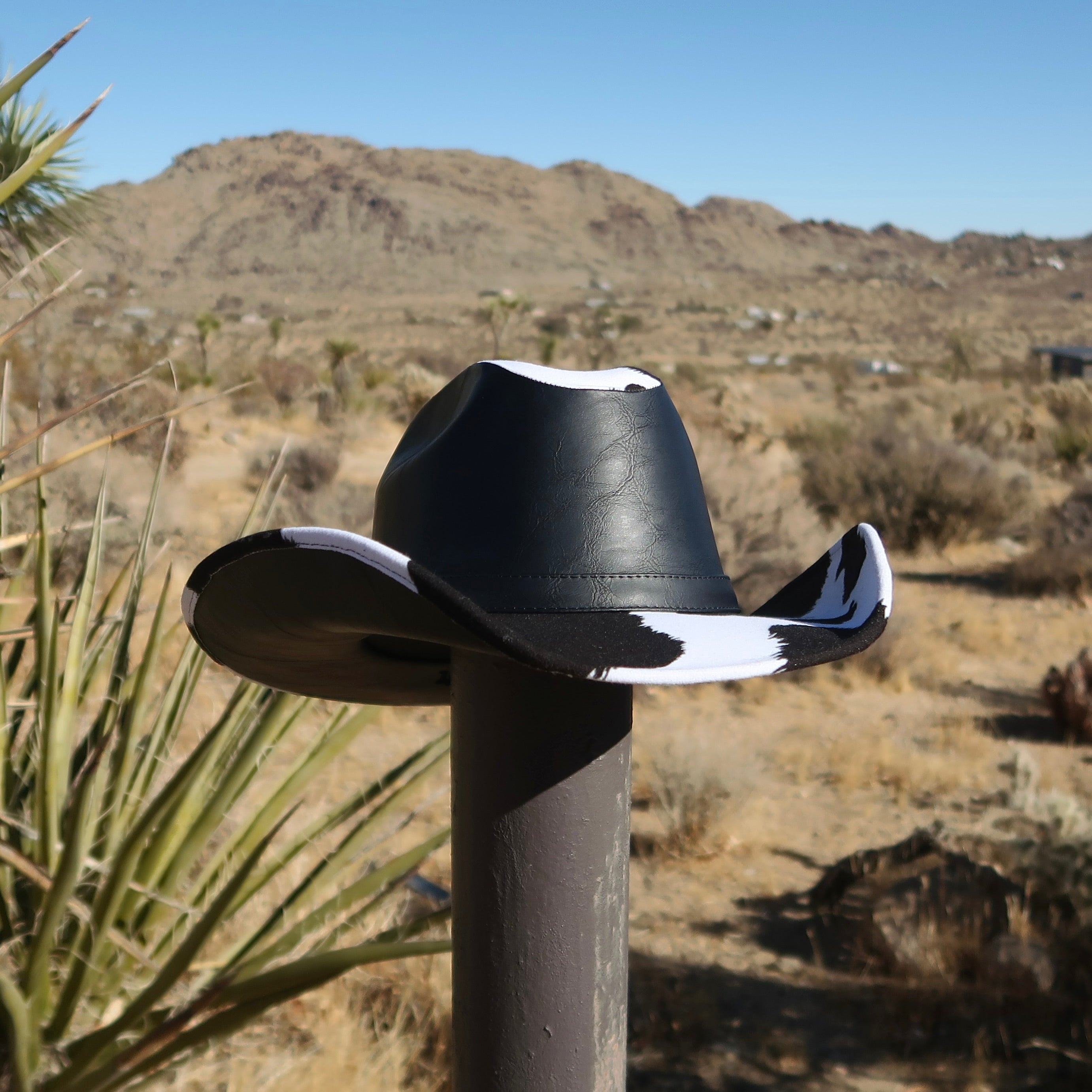 Festival – LosAngelesCowgirl